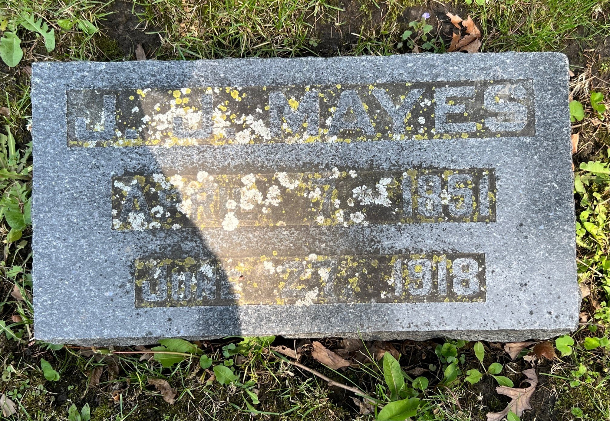 Mayes, John Jackson | McLean County Museum of History